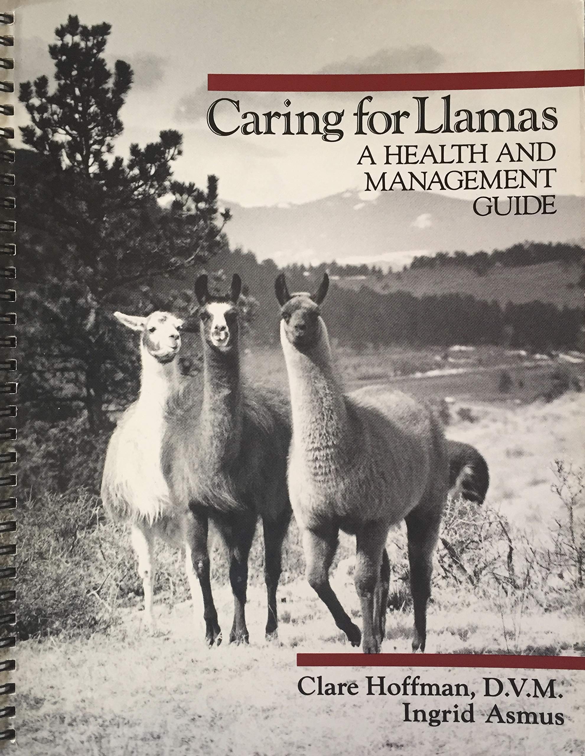 Caring for Llamas: A Health and Management Guide – The Happy Book Stack